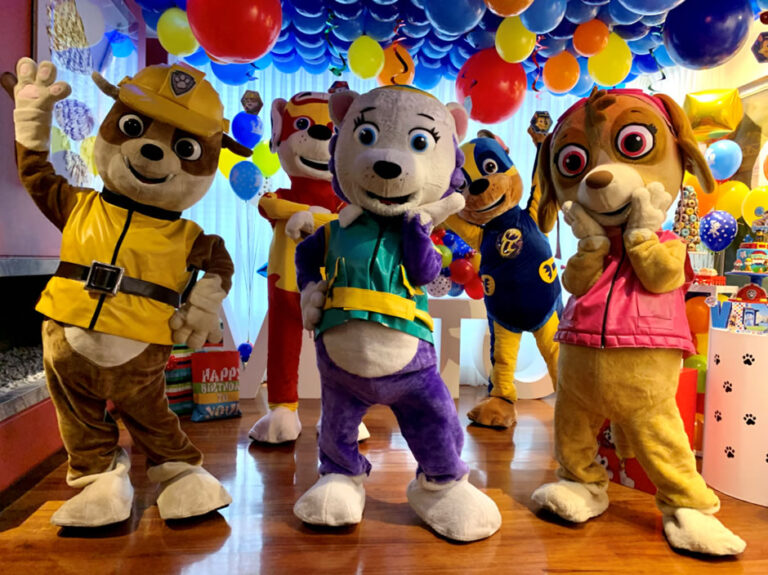 Paw Patrol Fiestas Infantiles, Recreacionistas para Niños Eventos la Roca